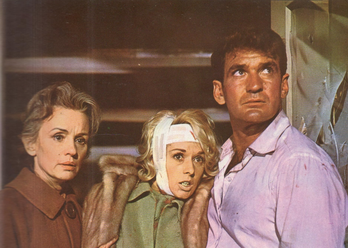 OS PÁSSAROS: 60 Anos de (Mais) um Clássico Filme de Alfred Hitchcock ...